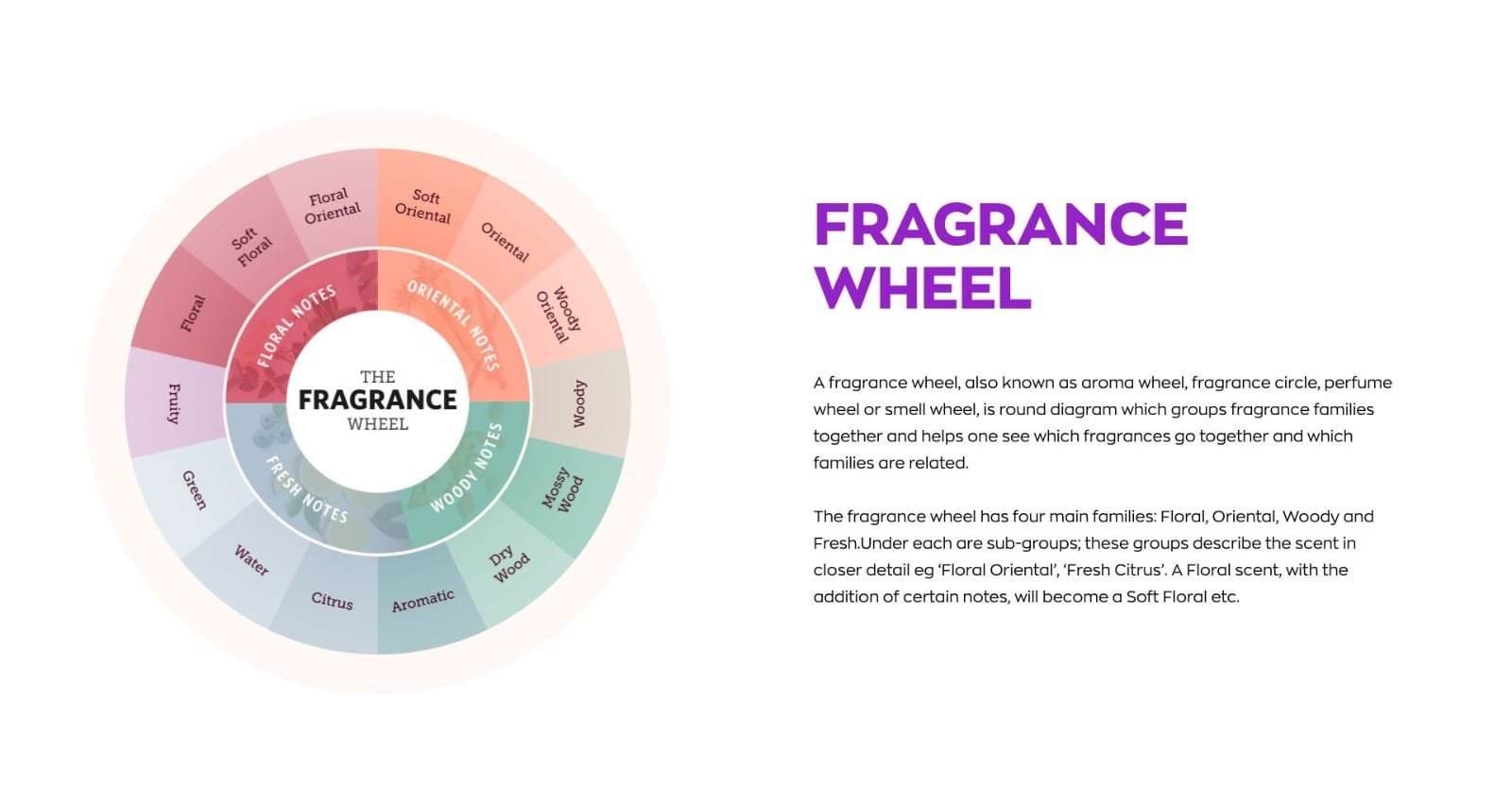 Perfume Notes & Fragrance Families: A Complete Guide