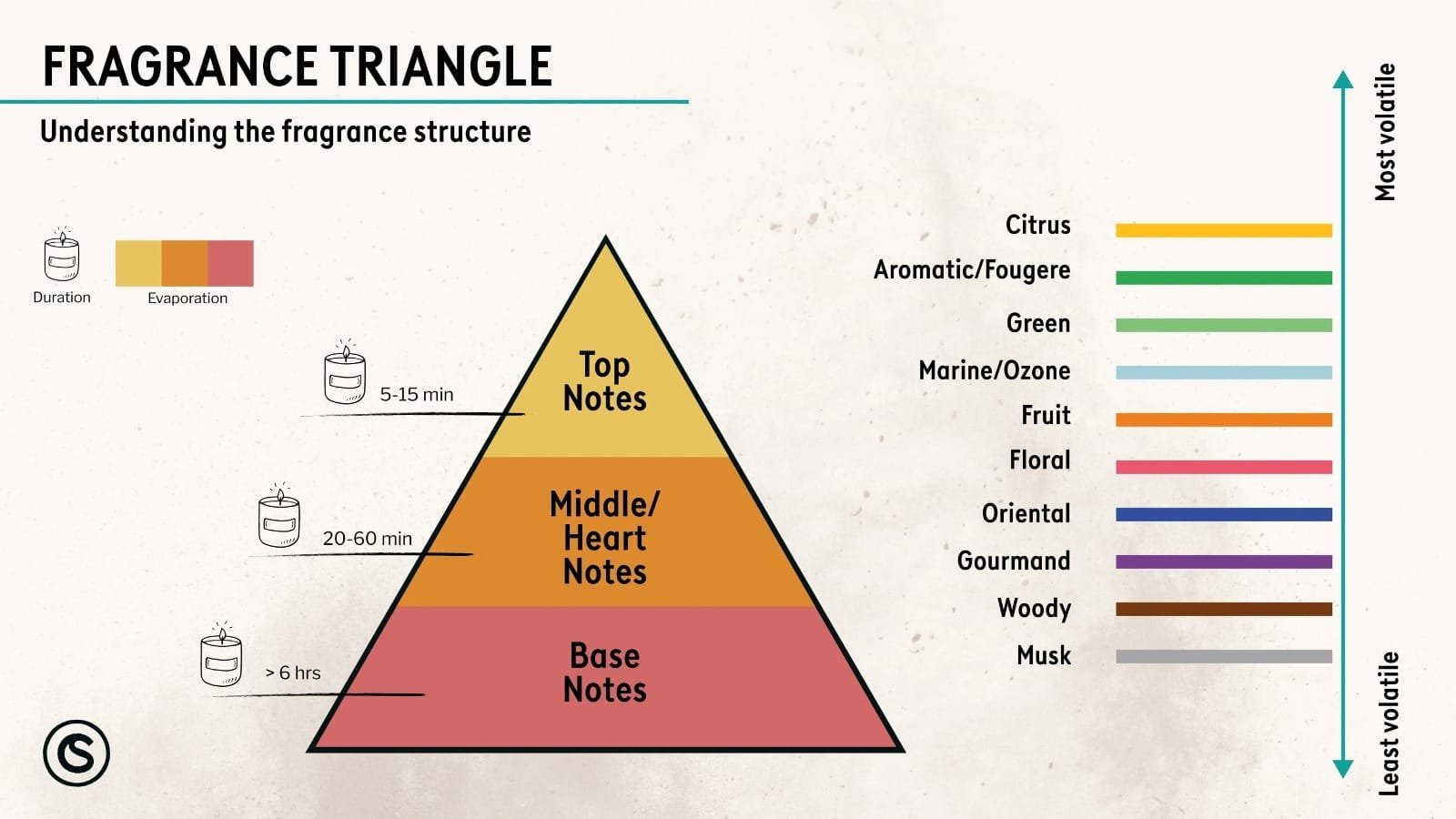 Perfume Notes & Fragrance Families: A Complete Guide